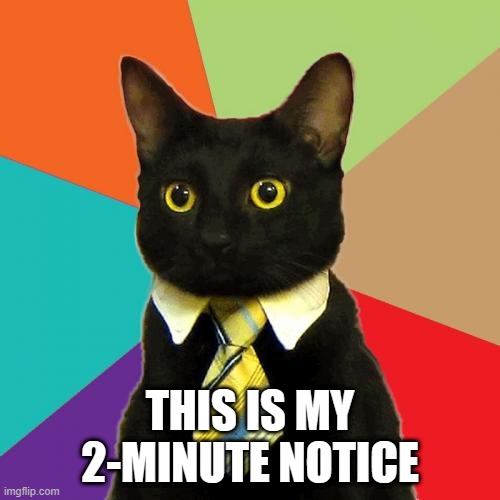Business Cat Meme - Imgflip