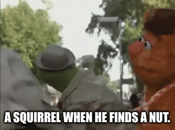 When a squirrel finds a nut - Imgflip