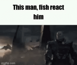 Fish react him - Imgflip