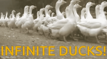 Infinite Ducks! - Imgflip