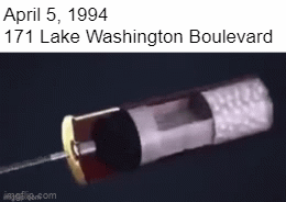 Shell Goes Through Shotgun - Imgflip