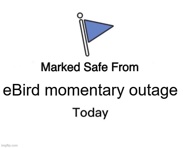 Marked Safe From Meme - Imgflip