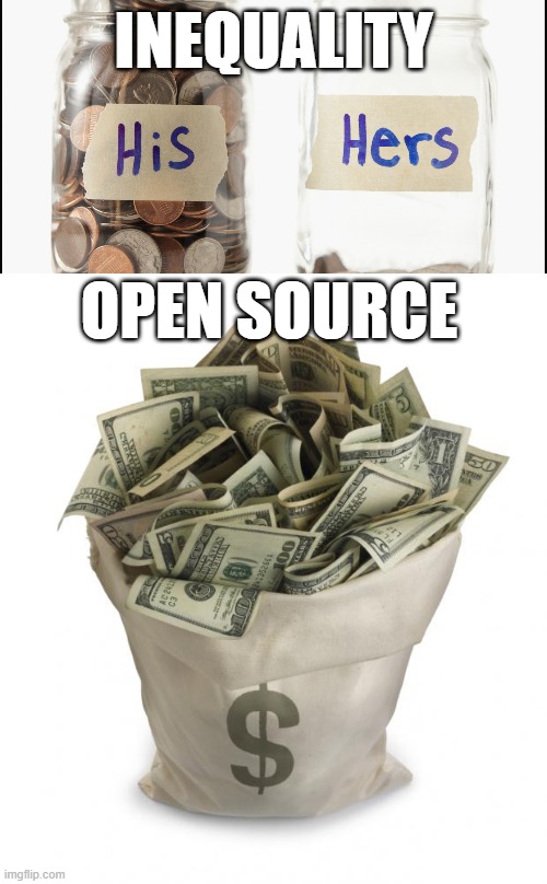 Image tagged in gender inequality,bag of money - Imgflip