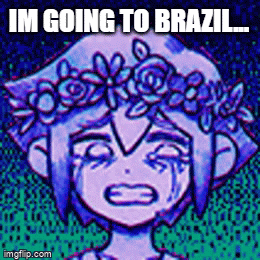 Im going to Brazil.. (BASIL) - Imgflip