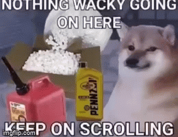 Image tagged in gifs,not really a gif - Imgflip