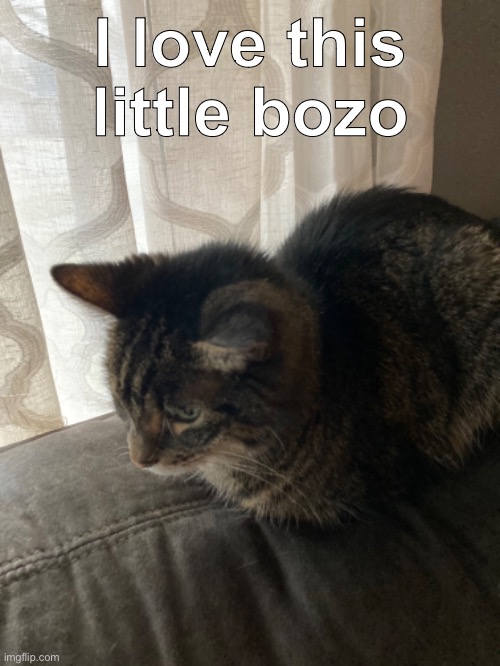 Her name is Chicken - Imgflip