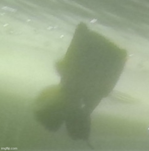 the shadow of disaster - Imgflip