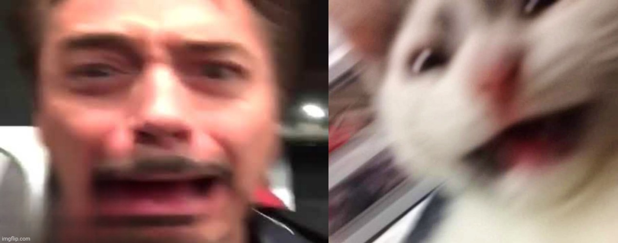 Same energy - Imgflip