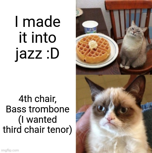 Happy cat sad cat - Imgflip