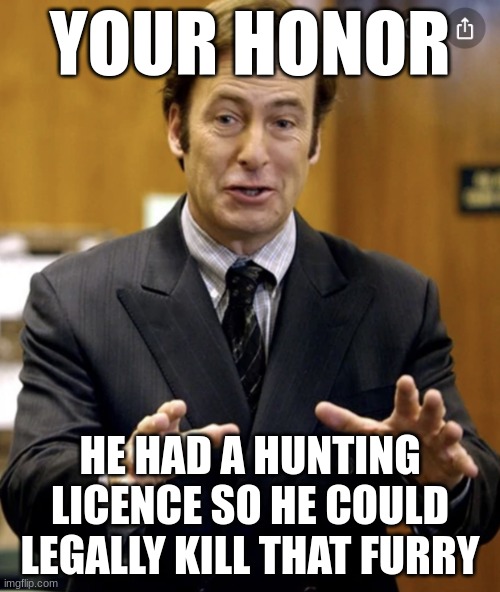 Your Honor Imgflip