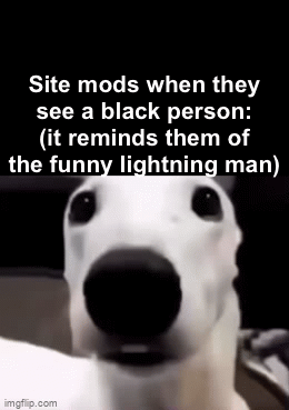 Shivering Dog - Imgflip