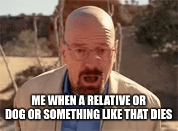 that just happened bc my aunt's dog died yesterday morning bc of cancer ...