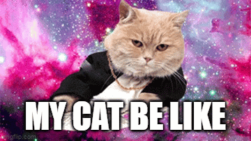 my cat be like - Imgflip
