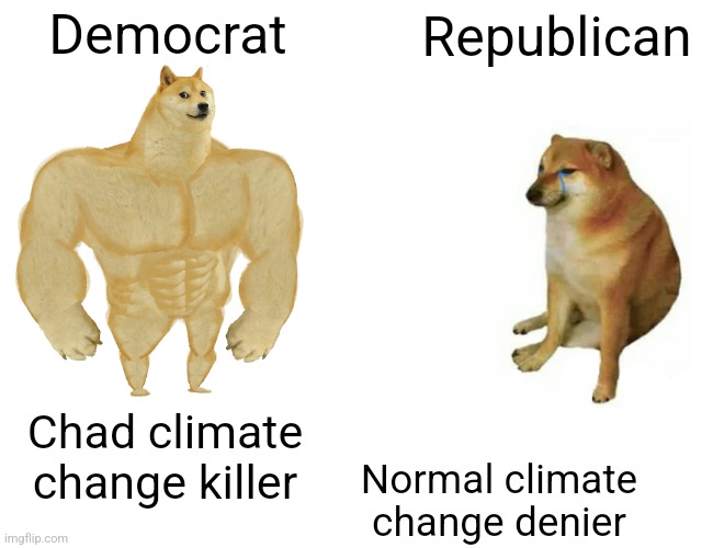 Buff Doge vs. Cheems Meme - Imgflip