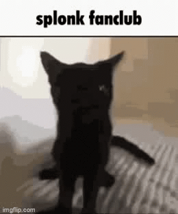 splonk - Imgflip
