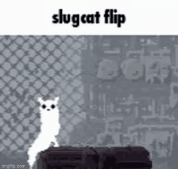 Animated GIF - Imgflip