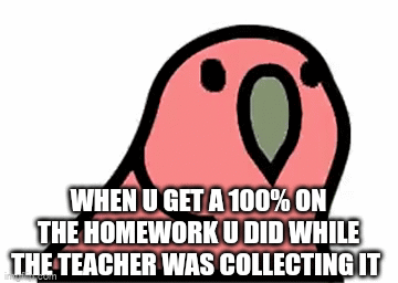 true story - Imgflip