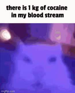 Imgflip