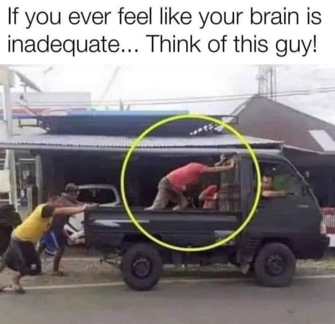 Dear Liberals, Meet Today's Darwin Award Winner! - Imgflip