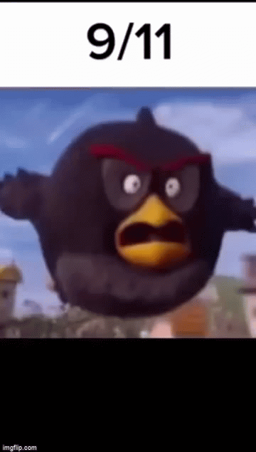 angy birb - Imgflip
