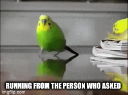 bird running from explosion - Imgflip