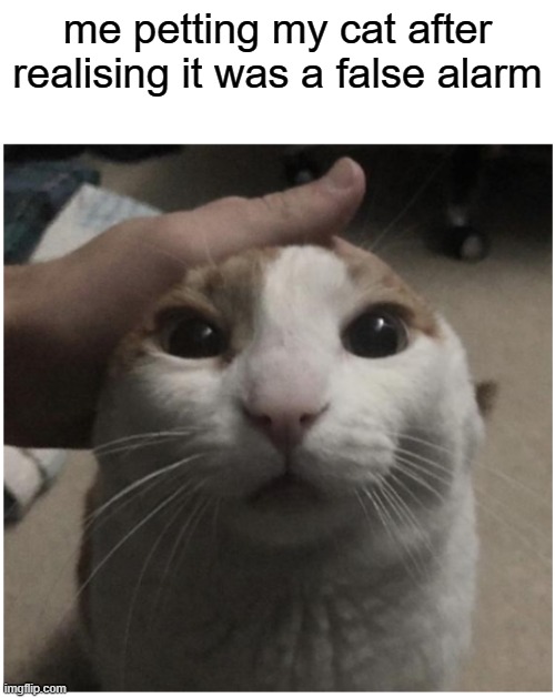 me petting my cat - Imgflip