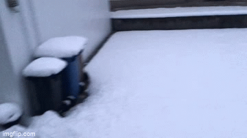 NOW YOU DECIDE TO SNOW A LOT, HUH GERMANY?!? IT HASNT SNOWED THIS MUCH ...