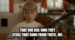 Tiktok is cringe and if you like it u live in 2020. - Imgflip