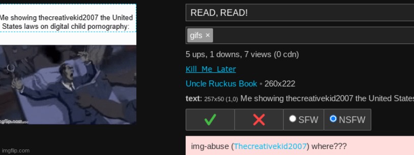 google, show this guy the united state laws against digital child pornography - Imgflip