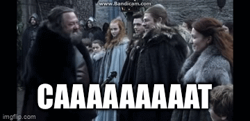 Cat; Robert Baratheon - Imgflip