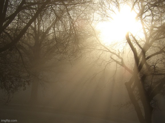 "Foggy Morning" - Imgflip