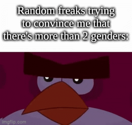 Reject modernity. - Imgflip