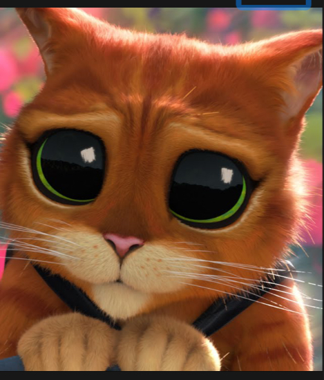 Puss In Boots Big Eyes Blank Template Imgflip
