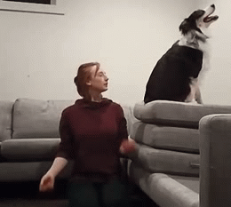 Nice catch - Imgflip