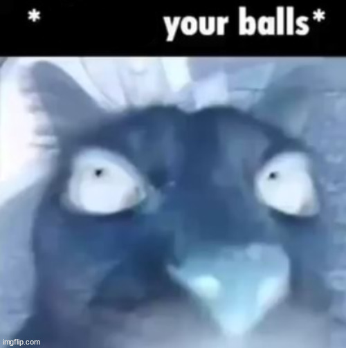 X your balls - Imgflip