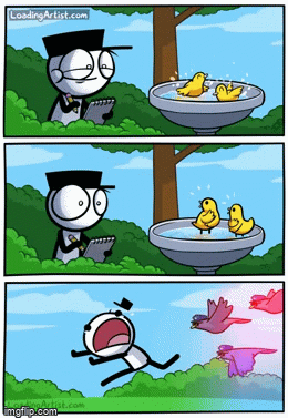 Image tagged in gifs,birds,police - Imgflip