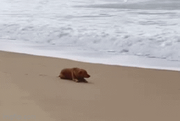 The Definition of the Word "Slink" - Imgflip