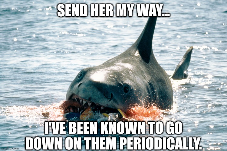 The holiday period is NOW ! - Imgflip