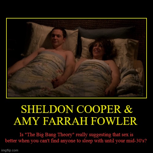 Sheldon and Amy Get Laid - Imgflip