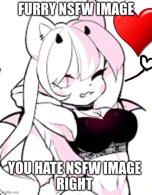 You hate NSFW IMAGE right - Imgflip