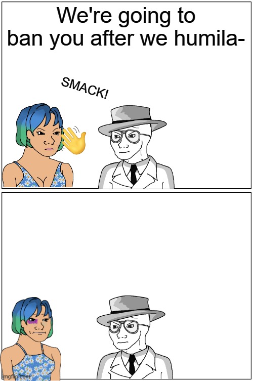 Blank Comic Panel 1x2 Meme - Imgflip