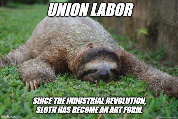 Sleeping sloth - Imgflip