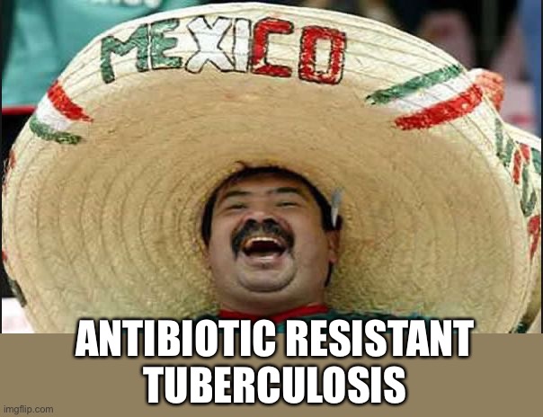 succesful mexican - Imgflip