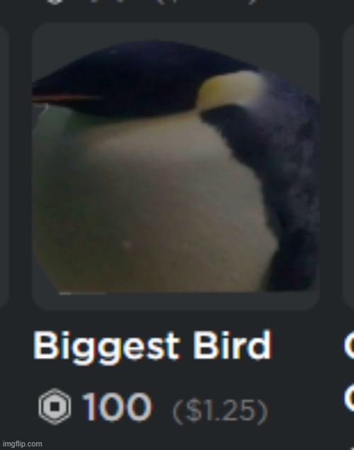 DA BIGGEST BIRD - Imgflip