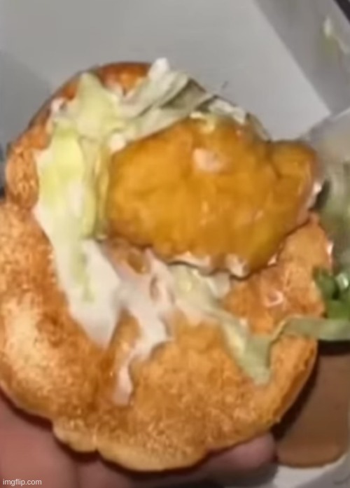 bro got the 1 piece McNugget Sandwich - Imgflip