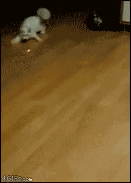 Chase the RED DOT! - Imgflip