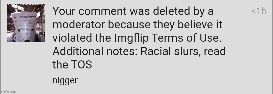 site mods are here now i think. who tf snitched. - Imgflip