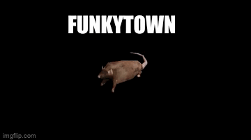 funkytown - Imgflip
