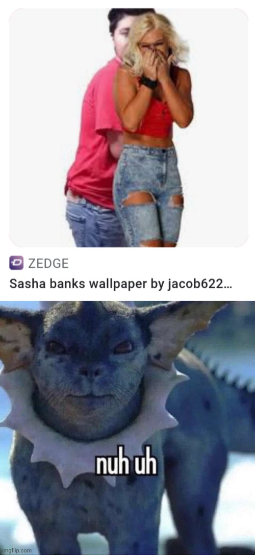 That ain't Sasha Banks - Imgflip