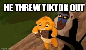 Lion king yeet - Imgflip